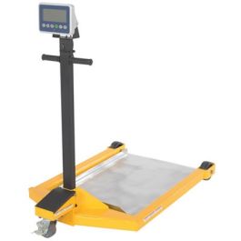 Low Profile Portable Bin Scale